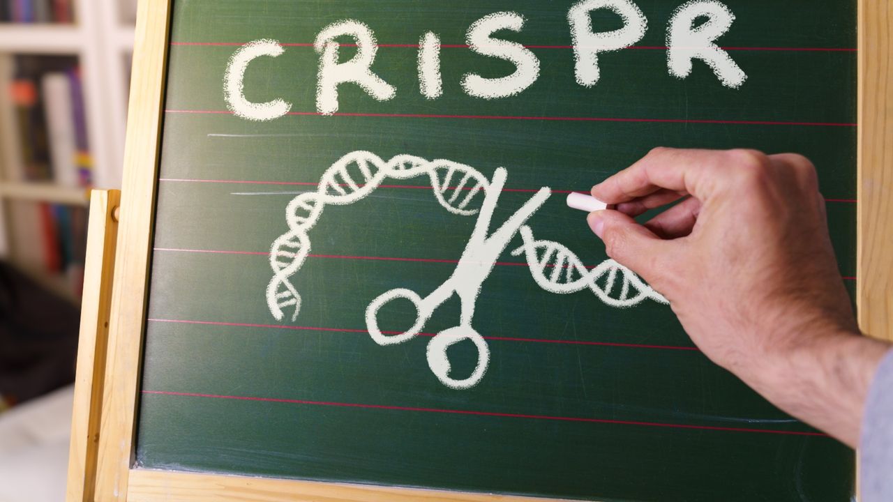 ‘This is a big problem’: The CRISPR controversy and the ‘mess’ at the ...